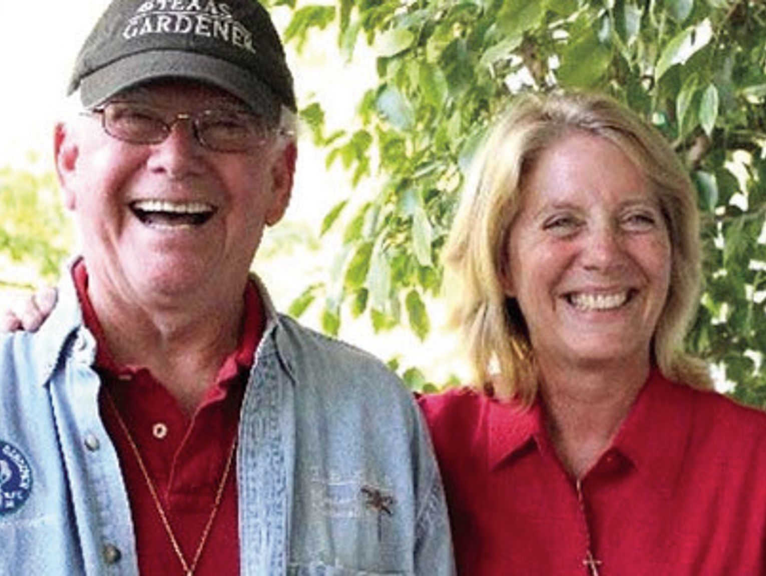 Natural Pest Control: 15 plants to keep insects at bay